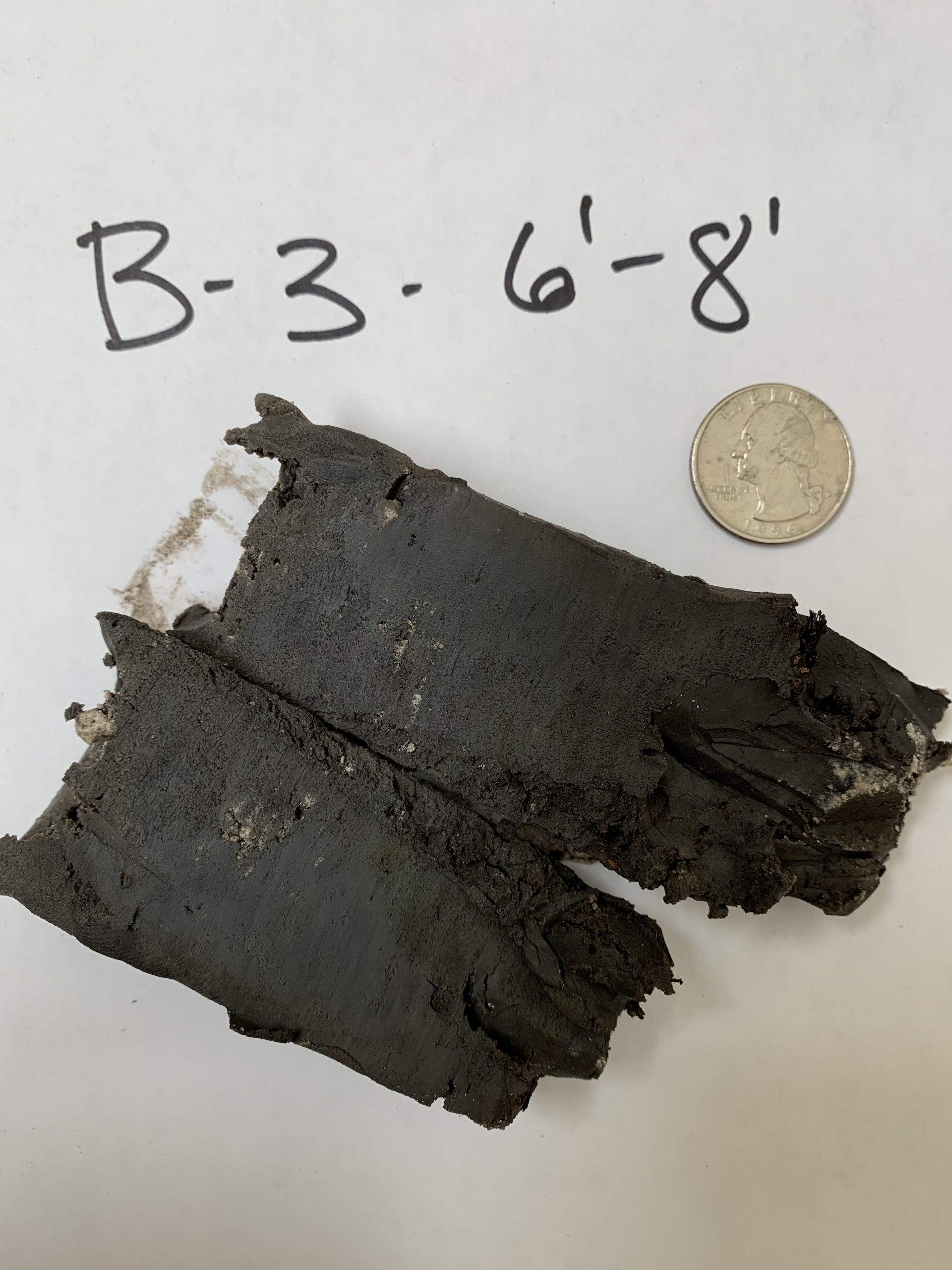 Lab 1: Visual Classification – CE340 Laboratory Manual